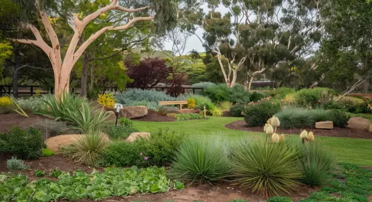 Stunning Australian Native Garden Designs: Unique & Eco-Friendly Ideas